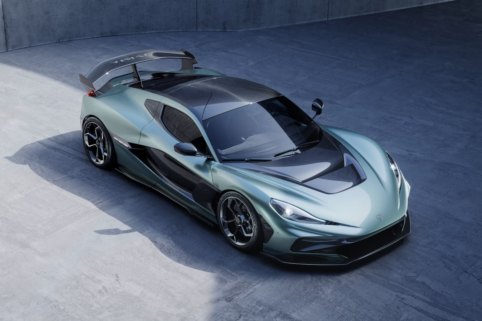 T2801040,Saved from the streets these cats finally found safety 💔 # ...